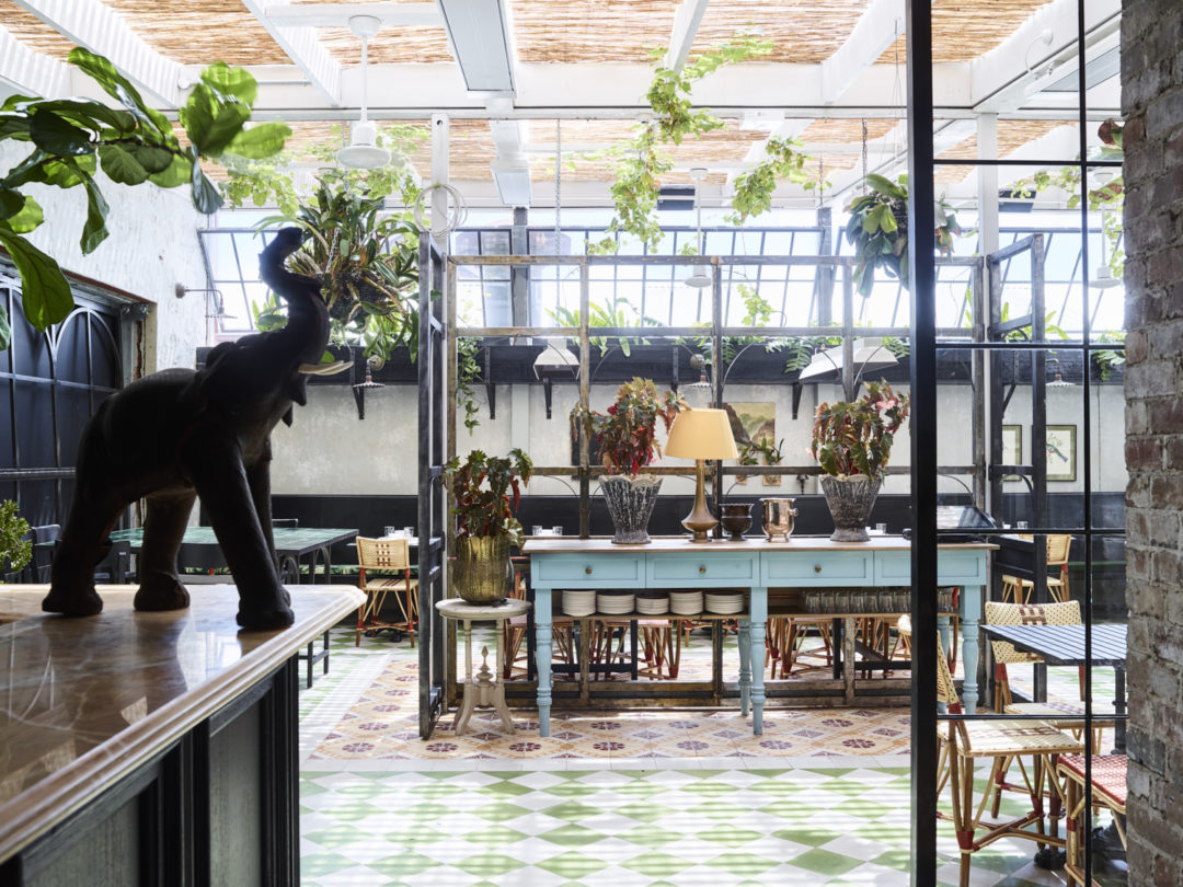 Royalty Reinvented – The Queen's Hotel Enmore | Diane Penelope Challis